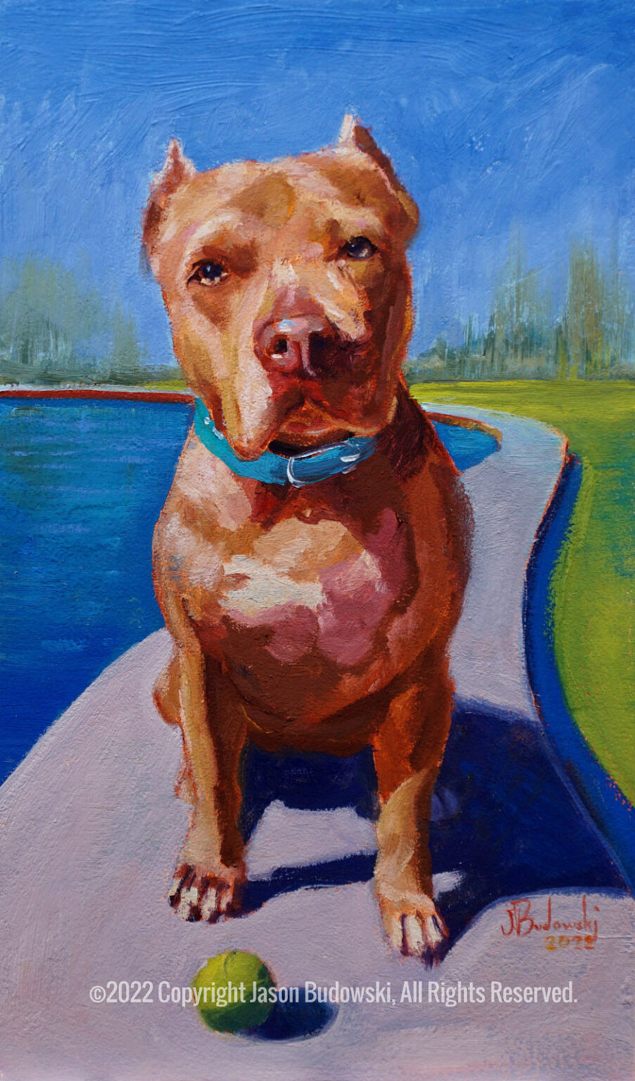 Fine Art and Illustration: Jason Budowski Visual Artist